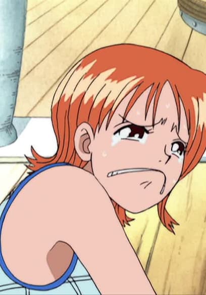 Watch One Piece (Subtitled) S02:E09 - The First Line of Defense? the ...