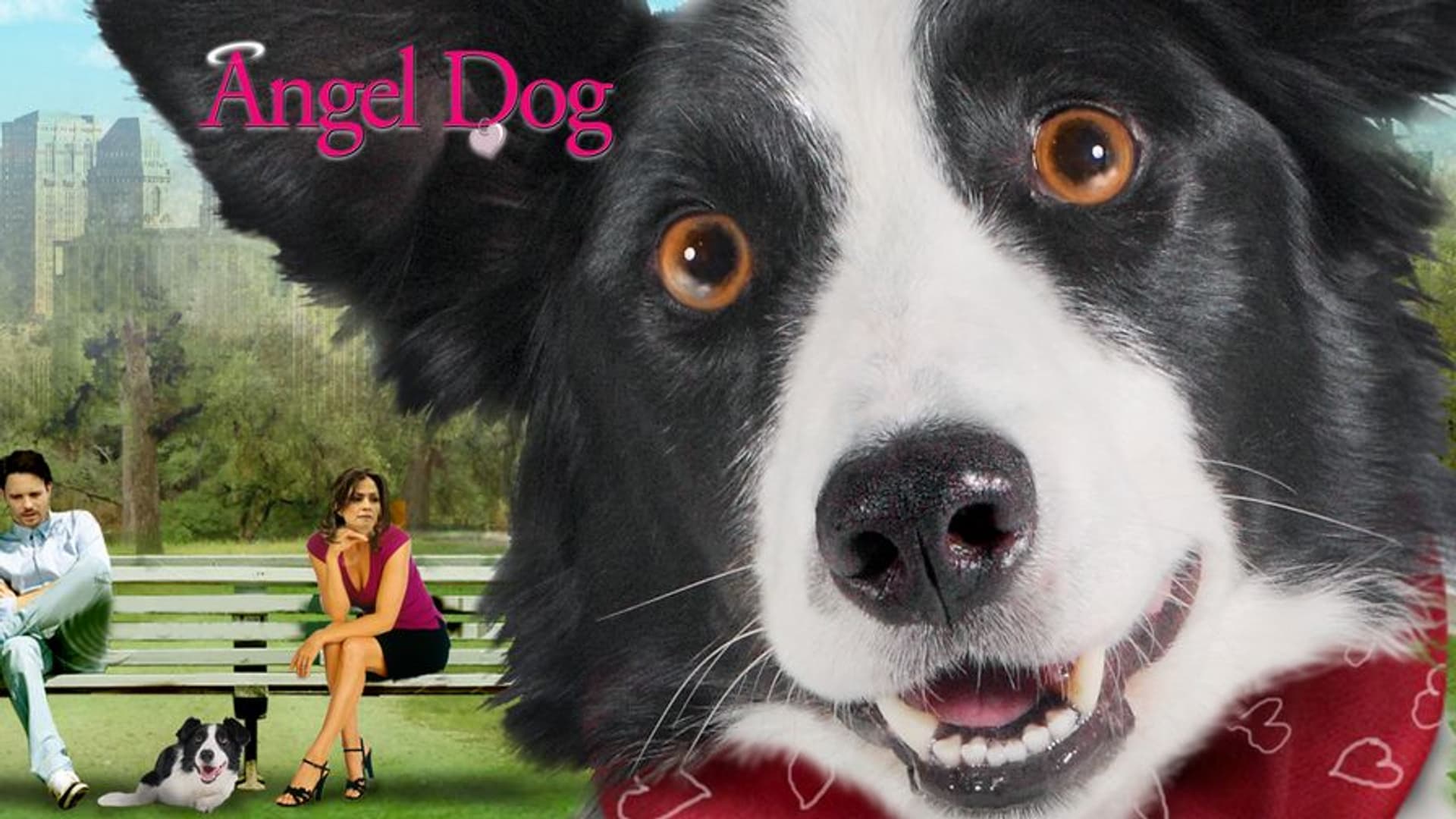 Watch Angel Dog (2011) - Free Movies | Tubi
