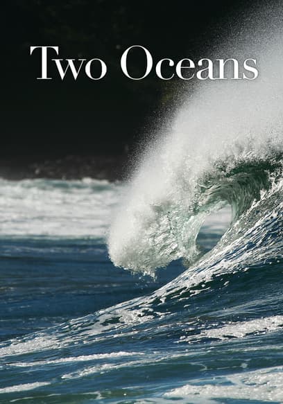 Watch Two Oceans - Free TV Shows | Tubi
