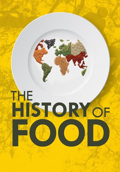 Watch The History of Food S01:E01 - The Invention of Cooking - Free TV ...