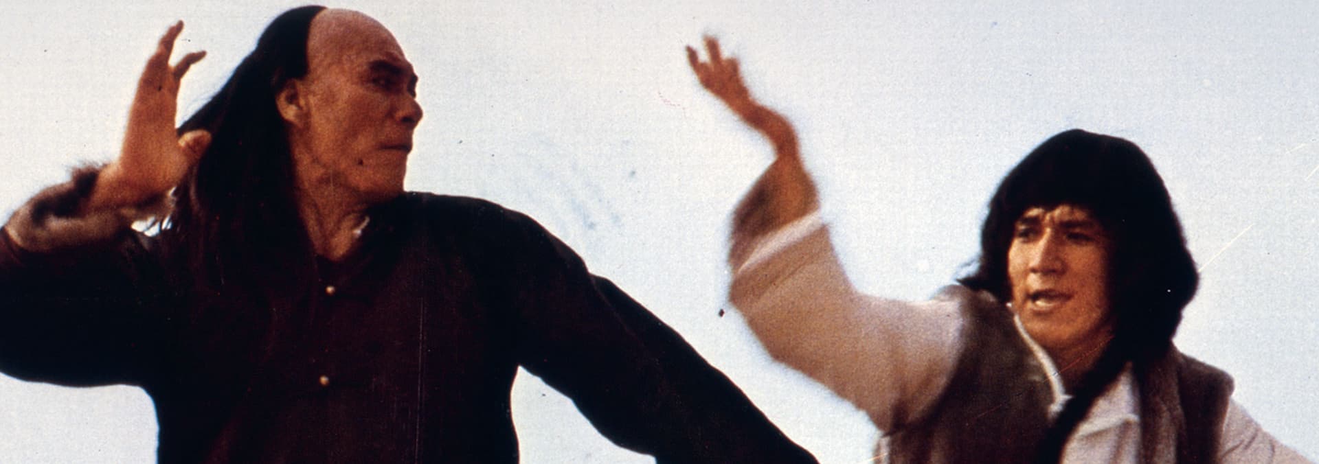 Watch Snake & Crane: Arts of Shaolin (1978) - Free Movies | Tubi