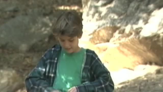 Watch Hard Hat Harry - Free TV Shows | Tubi