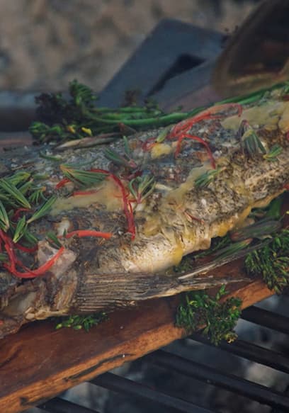 Watch Food Safari: Water S01:E06 - Fish on Fire - Free TV Shows | Tubi