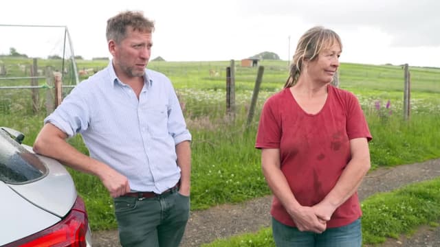 Watch The Yorkshire Vet S12:E10 - Episode 10 - Free TV Shows | Tubi