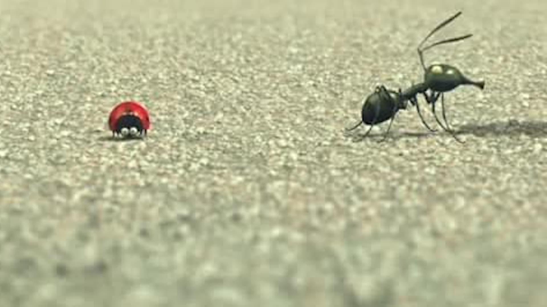 Watch Minuscule: Valley of the Lost Ants (2013) - Free Movies | Tubi