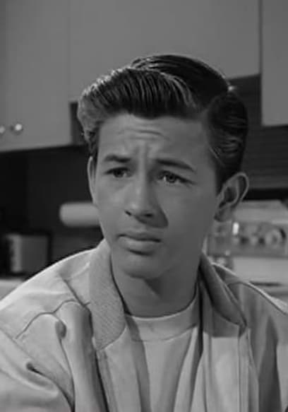 Watch Father Knows Best S02 E15 Bad Influence Free Tv Shows Tubi