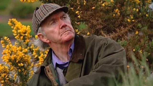 Watch Beyond Invention S01:E02 - Cryptozoology - Free TV Shows | Tubi