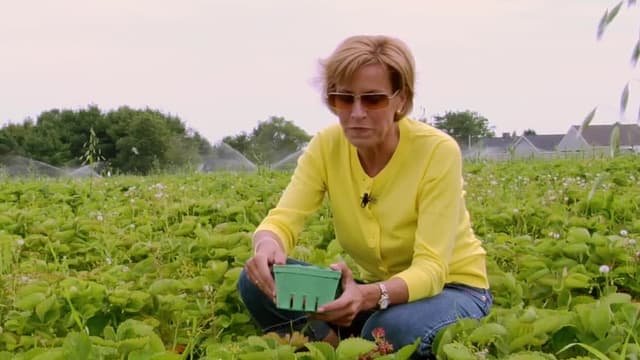 Watch Totally Vegetarian S02:E02 - Not So Ordinary Soup & Salad - Free ...