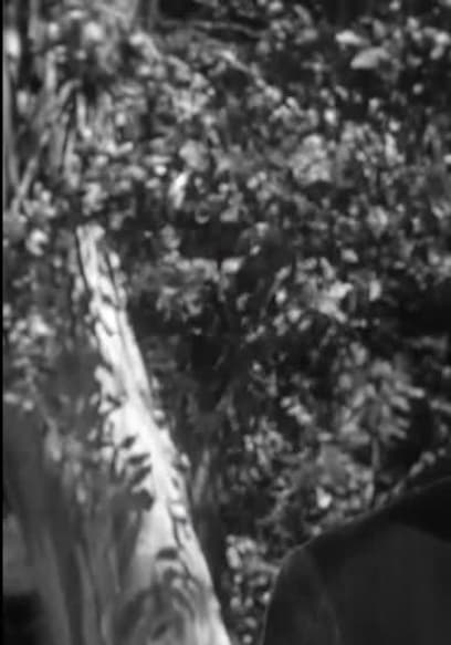 Watch Rodeo Cowboy: Stoney Burke S01:E05 - The Mob Riders - Free TV ...