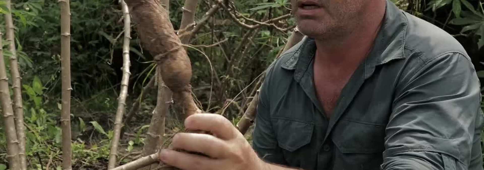 Watch Chasing Monsters S04:E06 - Wild Threat - Free TV Shows | Tubi