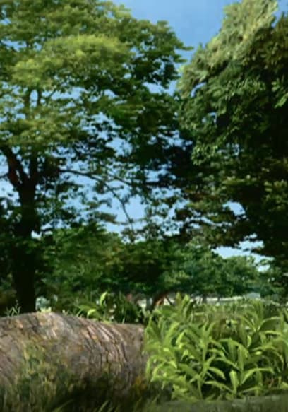 Watch Jakers! The Adventures of Piggley Winks S01:E1 - Free TV Shows | Tubi