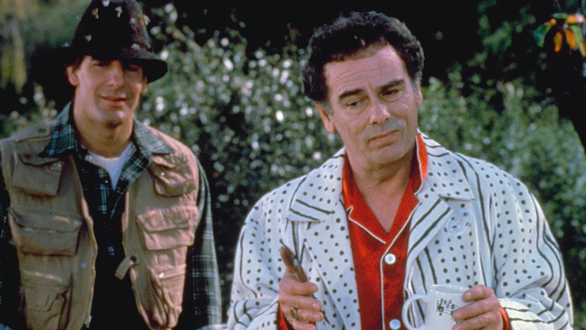 Watch Quantum Leap - Free TV Shows | Tubi