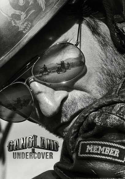 Watch Gangland Undercover - Free TV Shows | Tubi