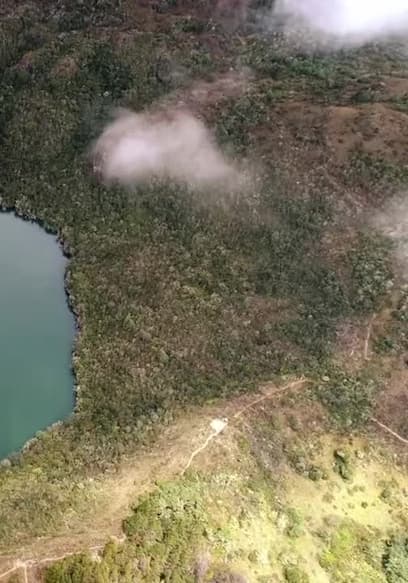 Watch Mysteries at the Museum S18:E13 - Dishwasher a - Free TV Shows | Tubi