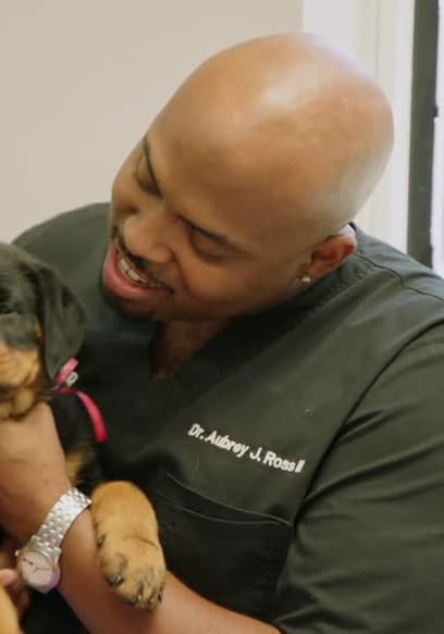 Watch The Vet Life S01:E07 - Training Day - Free TV Shows | Tubi