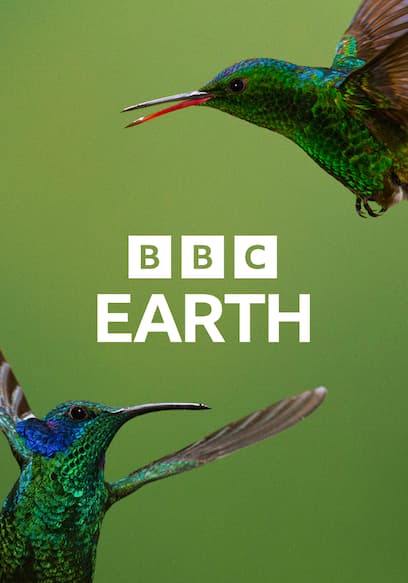 Watch BBC Earth - Free Live TV | Tubi