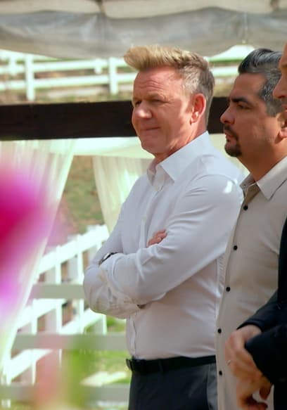 Watch MasterChef S09:E08 - A Gordon Ramsay Wedding - Free TV Shows | Tubi