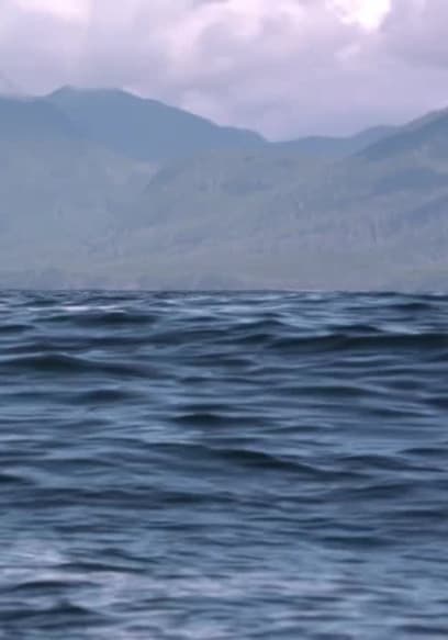 Watch Fishing Impossible S01:E02 - British Columbia - Free TV Shows | Tubi