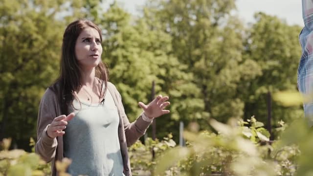 Watch Wine Whoopee With Brandon Anders S01:E03 - A New View - Free TV Shows | Tubi