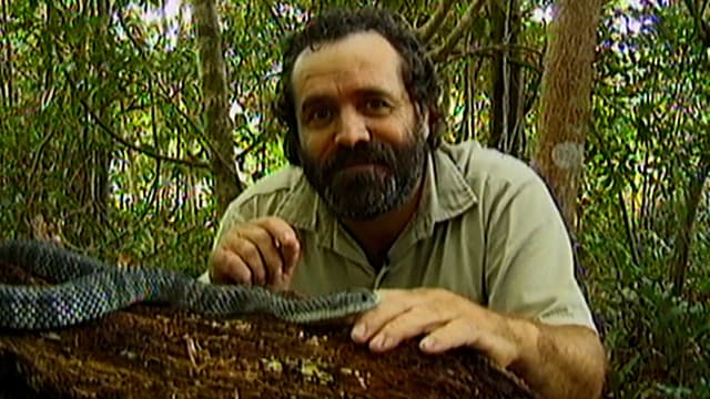 Watch Killer Instinct with Rob Bredl - Free TV Shows | Tubi