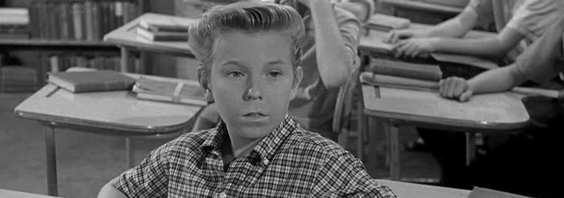 Watch Leave It to Beaver S05:E15 - Farewell to Penny - Free TV Shows | Tubi