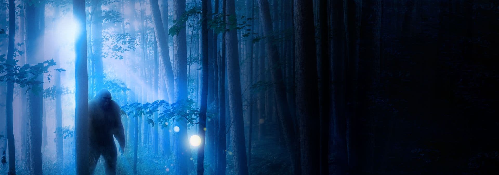 Watch A Flash Of Beauty Paranormal Bigfoot 2024 Free Movies Tubi