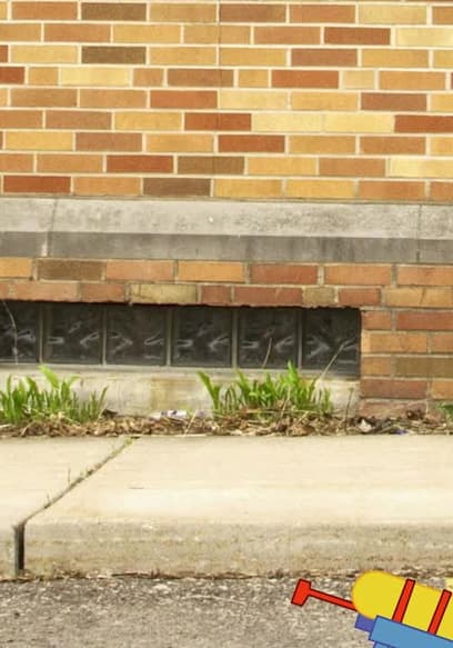 Watch Whirl: Ada and Friends S01:E03 - Volume 3 - Free TV Shows | Tubi