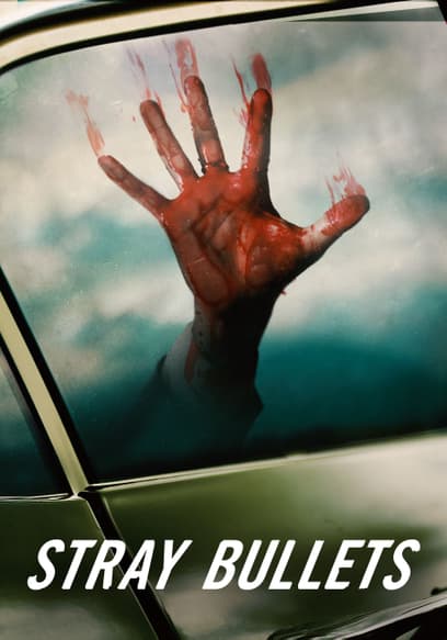 Watch Stray Bullets (2016) - Free Movies | Tubi
