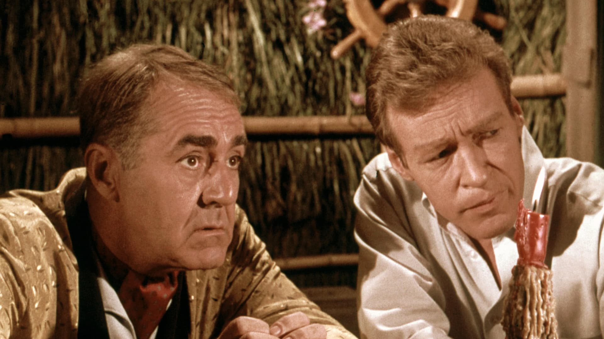 Watch Gilligan's Island Season 2 - Free TV Shows | Tubi