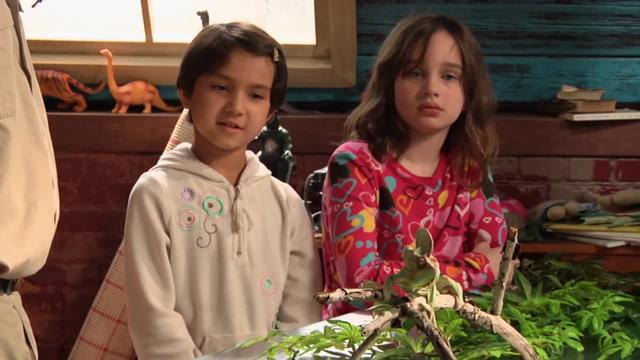 Watch Finding Stuff Out - Free TV Shows | Tubi