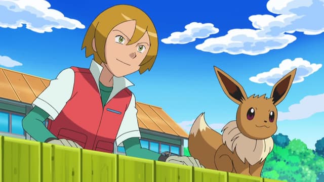 Watch Pokémon the Series: Black & White S16:E05 - Team Eevee and the ...