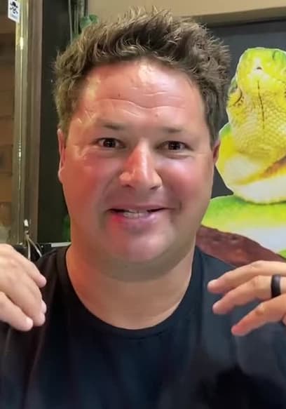 Watch Dingo Untamed S01:E16 - Pangolin Insert - Free TV Shows | Tubi