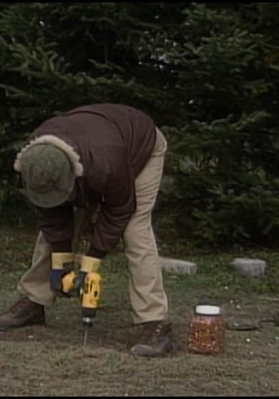 Watch The Red Green Show S05:E23 - The Compost Heap - Free TV Shows | Tubi