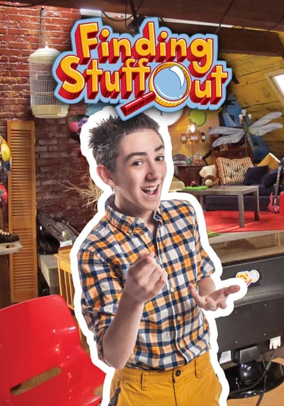 Watch Finding Stuff Out - Free TV Shows | Tubi